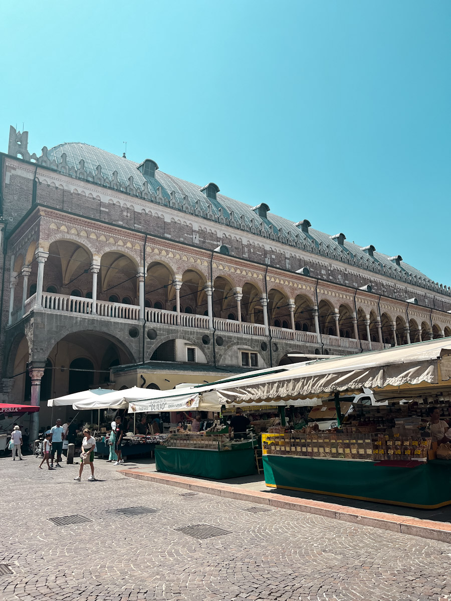 Is Padua Worth Visiting? Things to Do in Padua, Italy