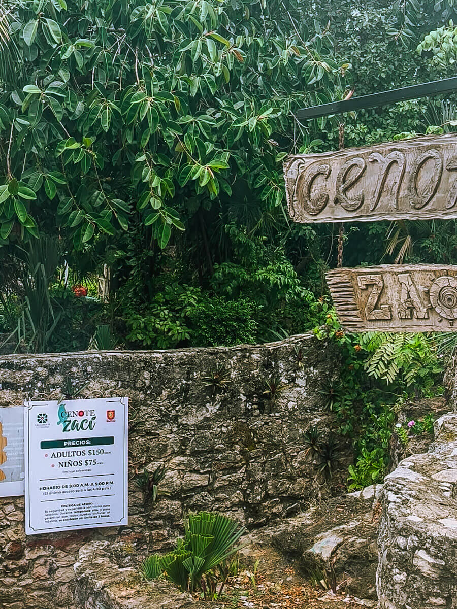 Cenote Zací, Mexico: What to Know Before You Visit • The Spirited Explorer