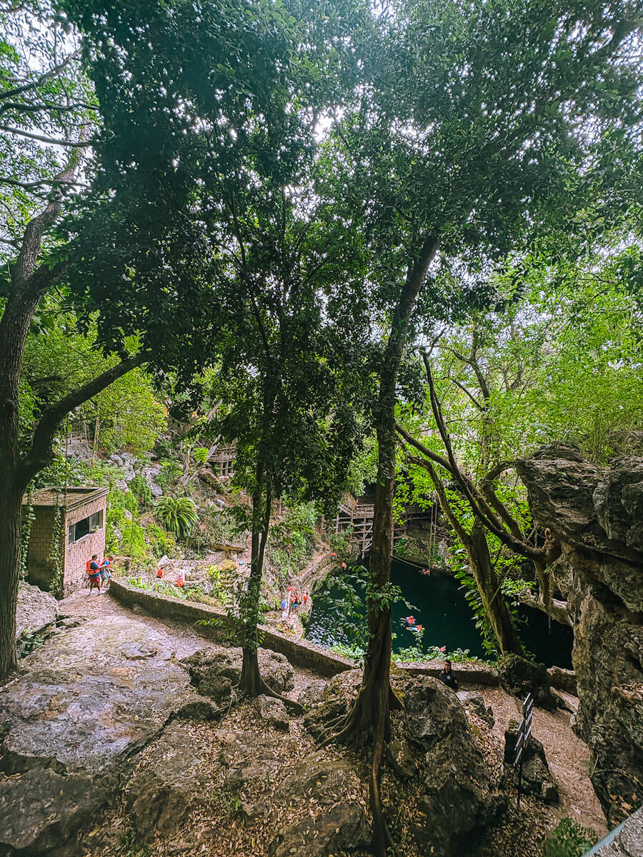 Cenote Zací, Mexico: What to Know Before You Visit • The Spirited Explorer